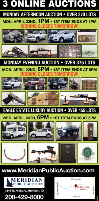 Online Auction, Meridian Public Auction, Meridian, ID