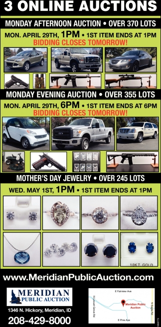 Online Auction, Meridian Public Auction, Meridian, ID