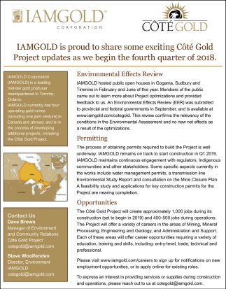 Environmental Effects Review, IAMGOLD Corporation, Toronto, ON